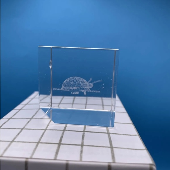 Art | Ladybug Laser Engraved 3d Crystal Cube Glass Etched Paperweight ...